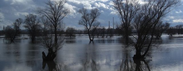 Californie : L'urgence face aux inondations